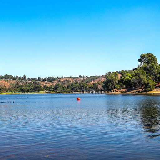 Bonelli Park Concert